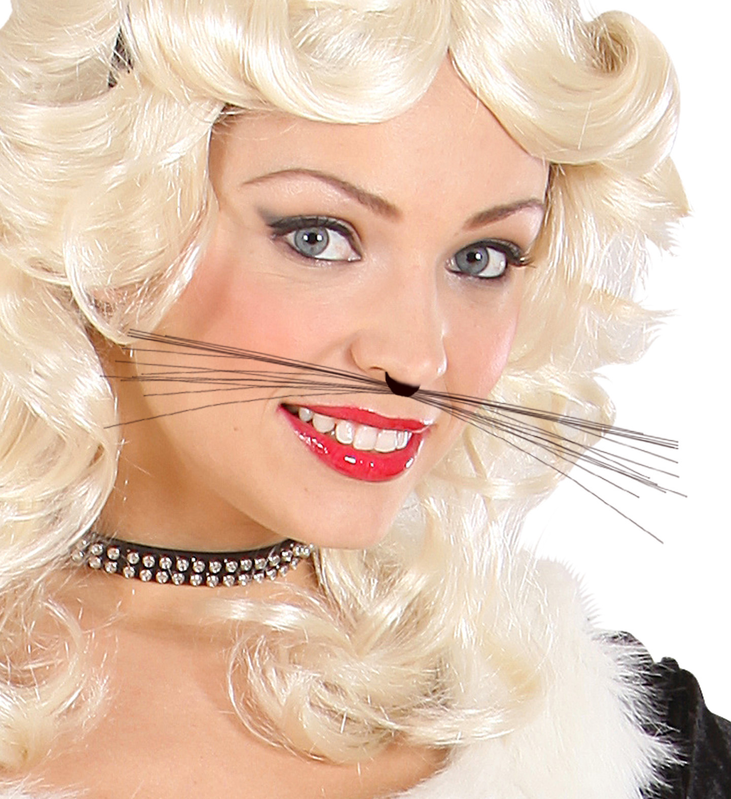 ŽIVOTINJSKI BRKOVI | PARTY BOX